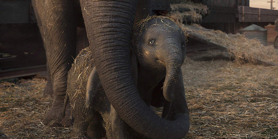 DUMBO (2019) - Audio Review - Double Toasted