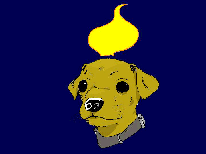 Mojo - Double Toasted